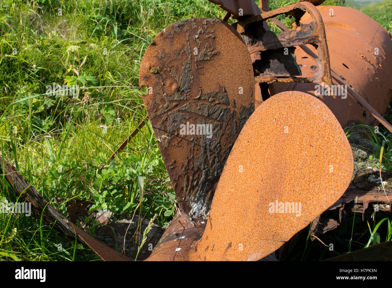 Alaska, Aleutian Island Chain, Rat Islands, Kiska Island (Aleutian ...