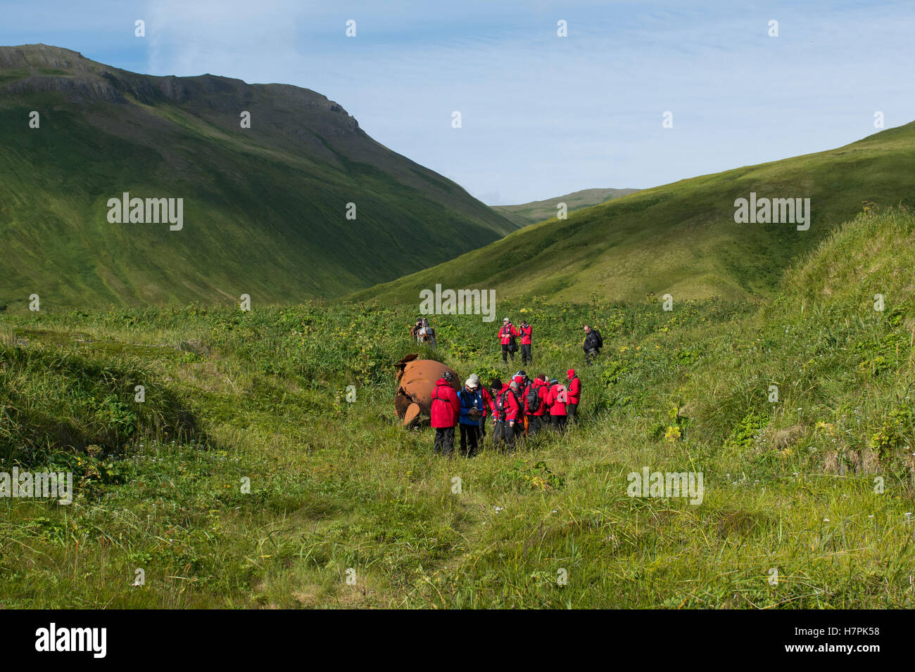 Alaska, Aleutian Island Chain, Rat Islands, Kiska Island (Aleutian ...