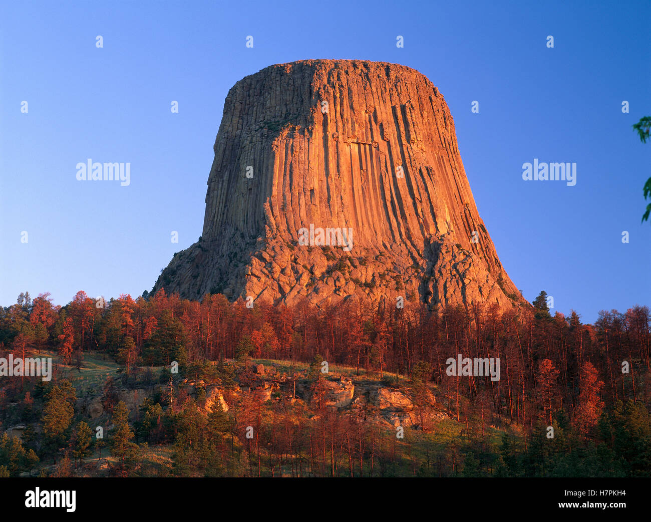 Devil's Tower National Monument showing famous basalt tower, sacred ...
