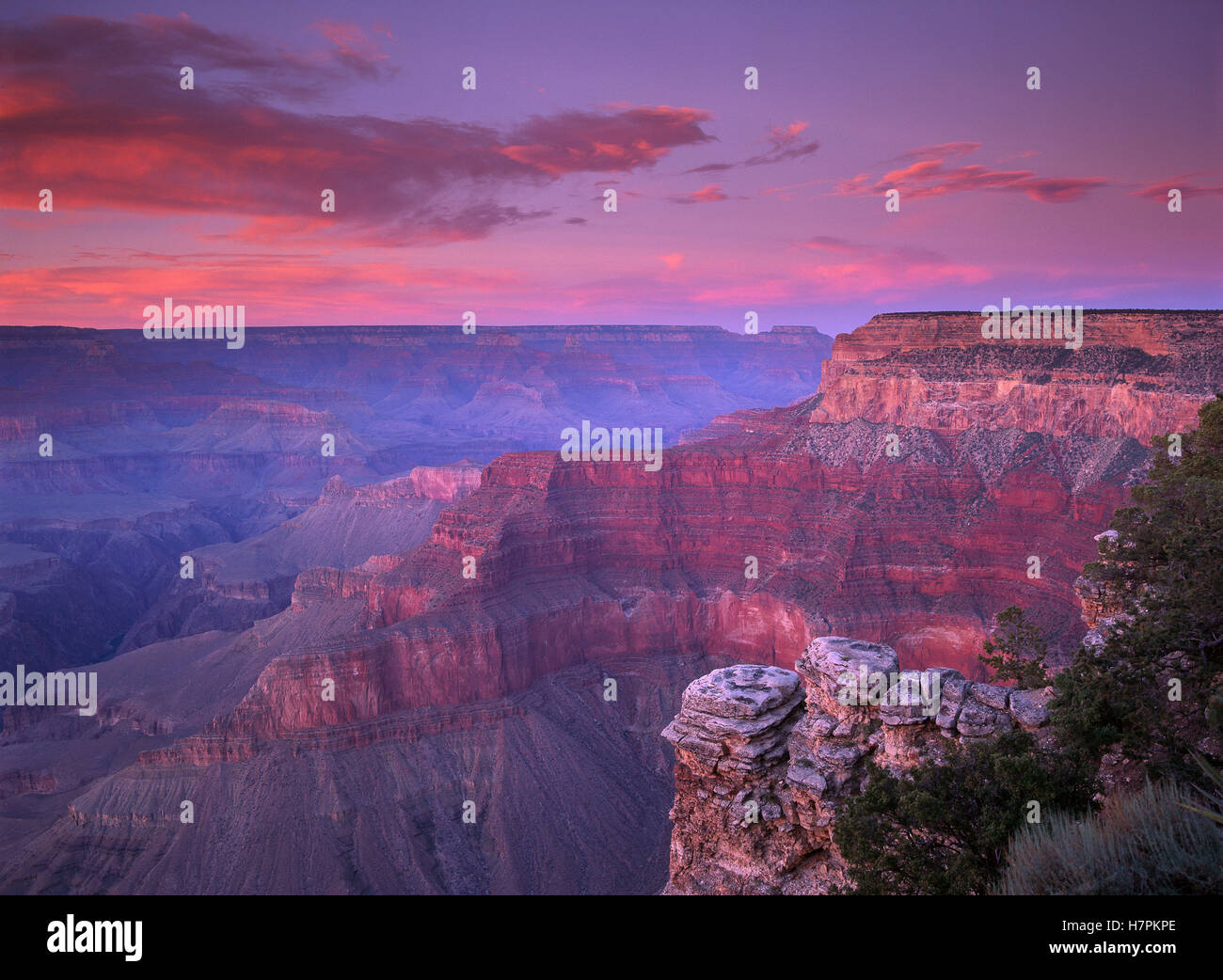 View of the South Rim from Pima Point, Grand Canyon National Park ...