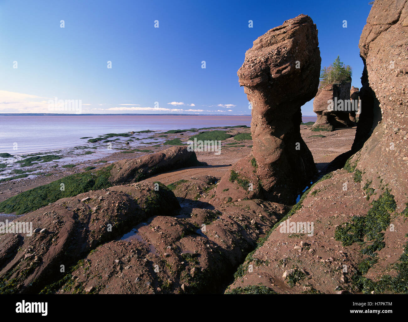 The flower pots, huge sandstone formations up to 50 feet high created ...