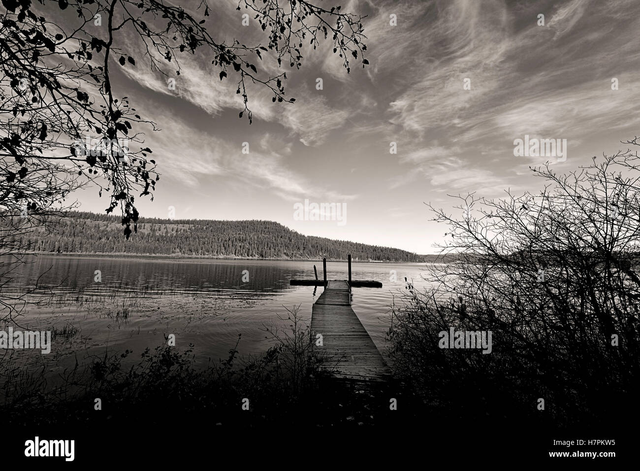 B&W of Chatcolet Lake in Idaho Stock Photo - Alamy
