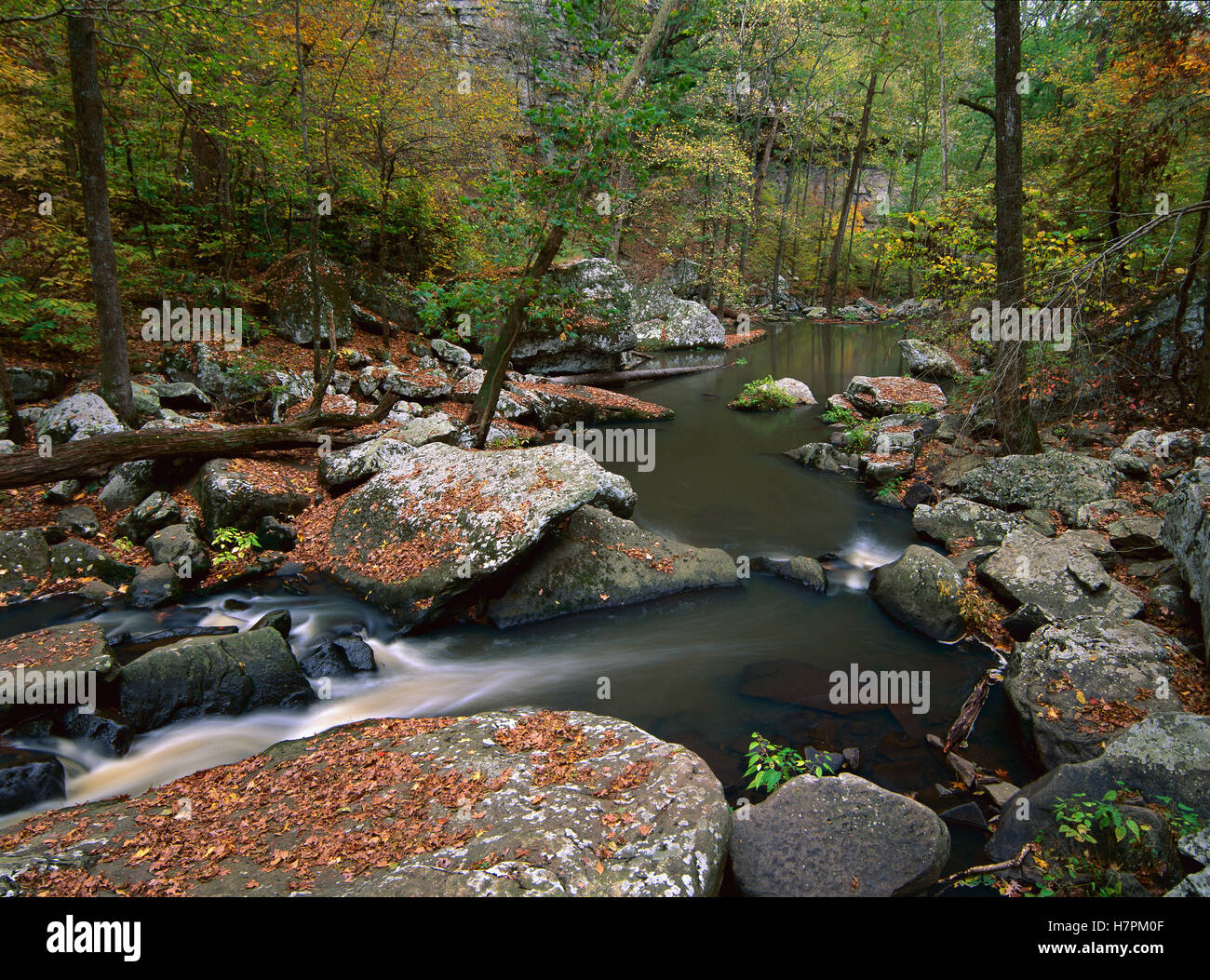 Cedar Creek flowing through deciduous forest, Petit Jean State Park ...