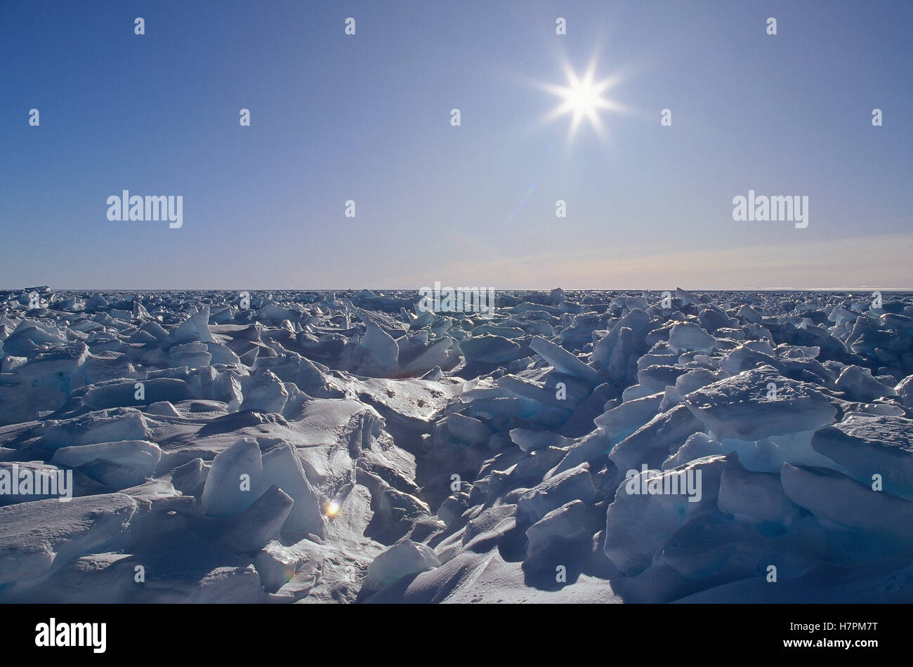 Sun shining over icefield, Antarctica Stock Photo - Alamy