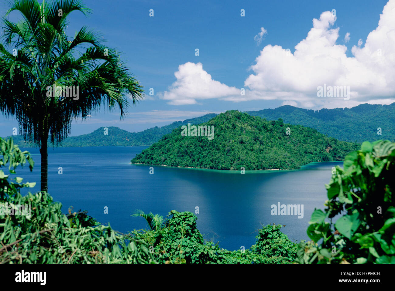 Yapen Island, Irian Jaya, Indonesia Stock Photo - Alamy
