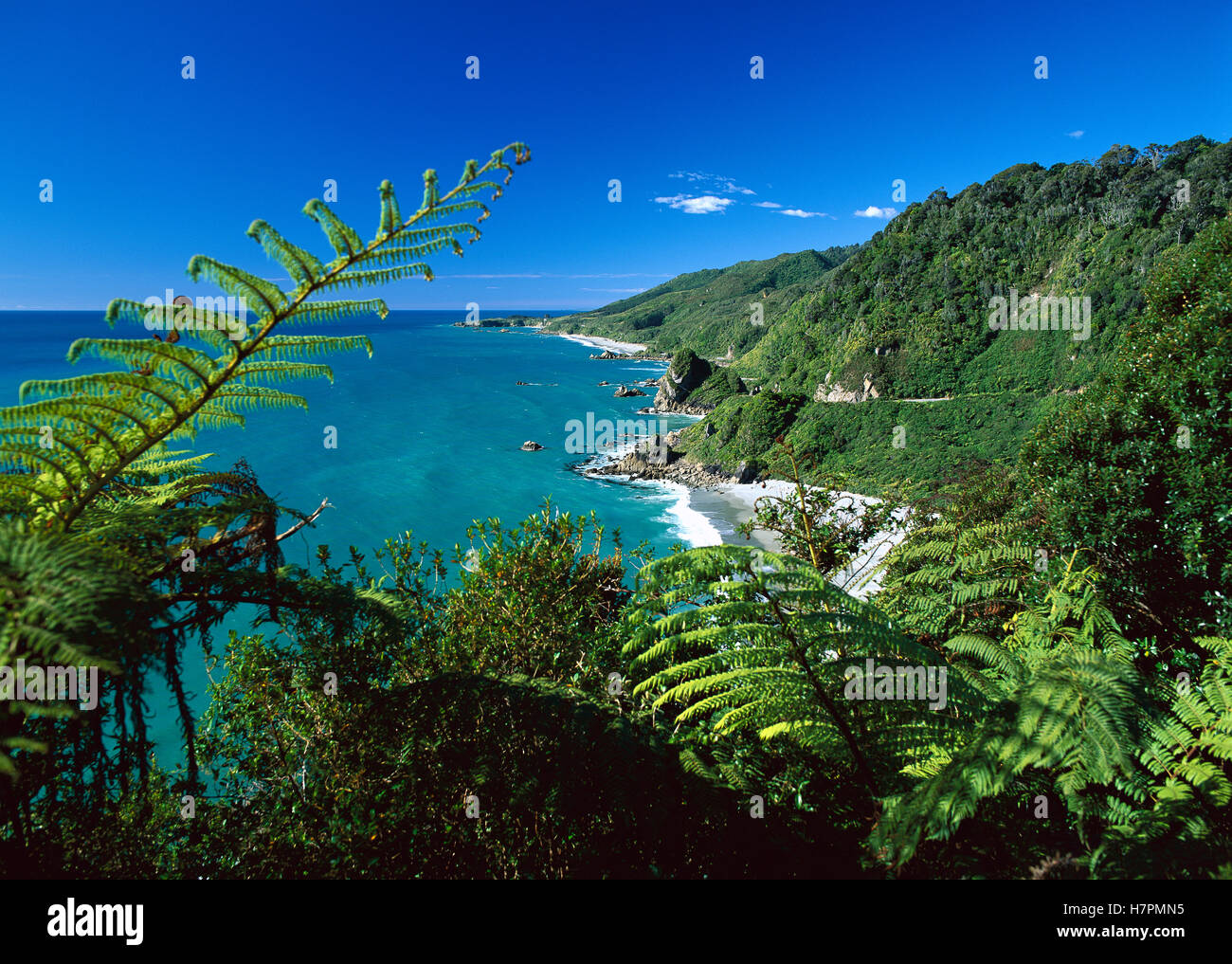 West coast, Paparoa National Park, South Island, New Zealand Stock ...