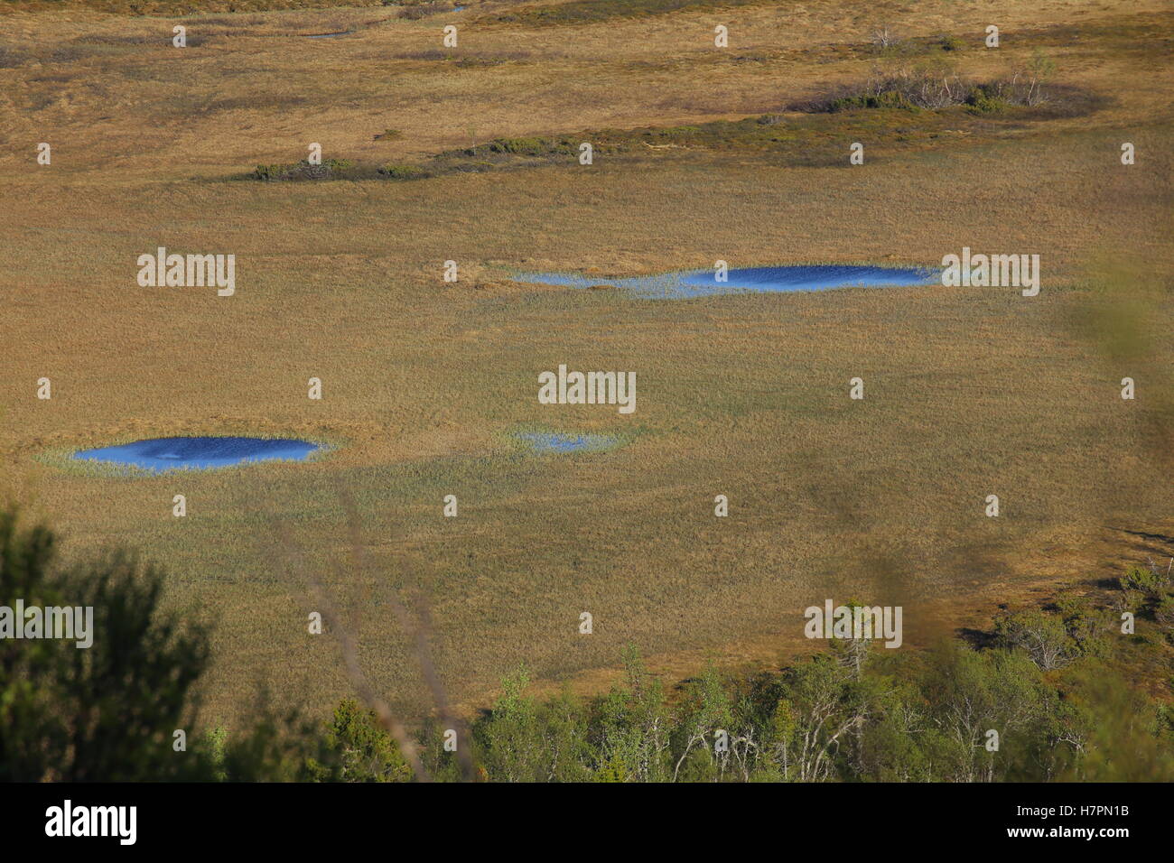 Bog body hi-res stock photography and images - Alamy