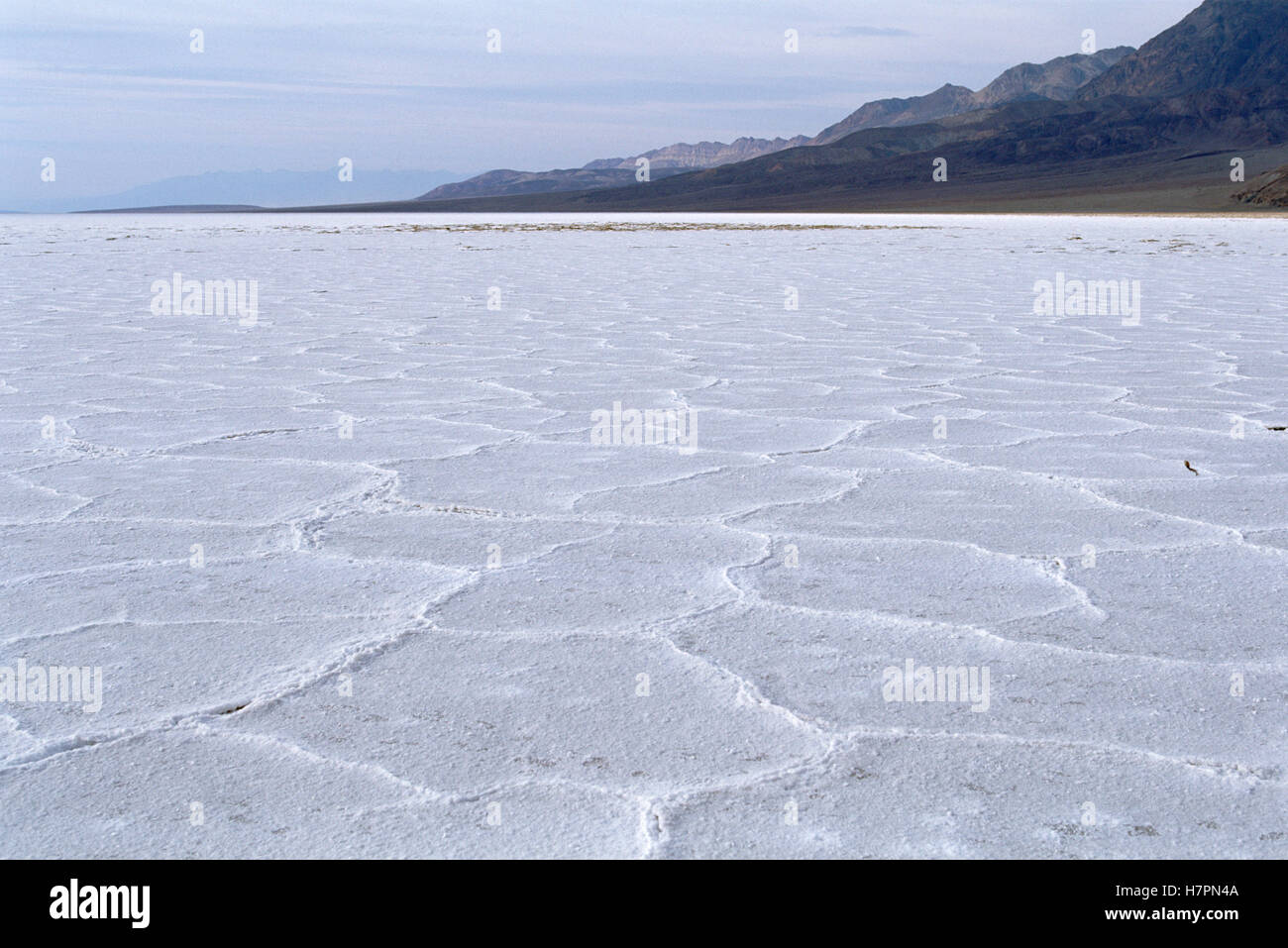 Salt flats at Badwater with polygon shapes, Death Valley National Park ...