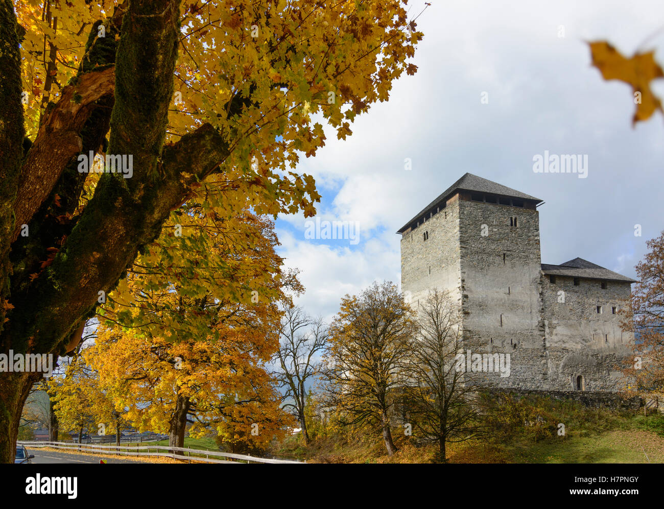Kaprun: Kaprun Castle, maple trees, Pinzgau, Salzburg, Austria Stock ...