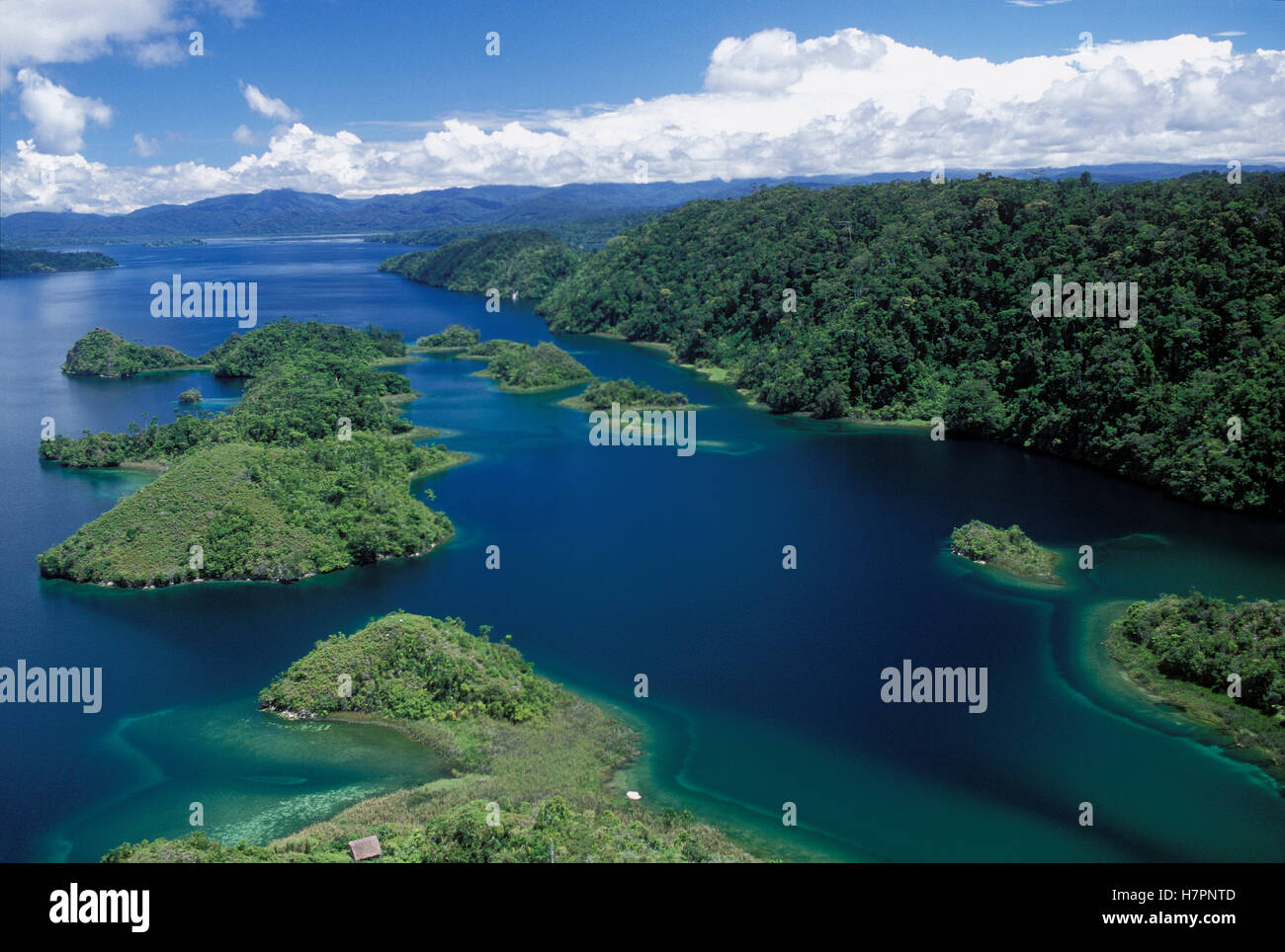Aerial view of islands at southeast end of Lake Kutubu, the highlands ...