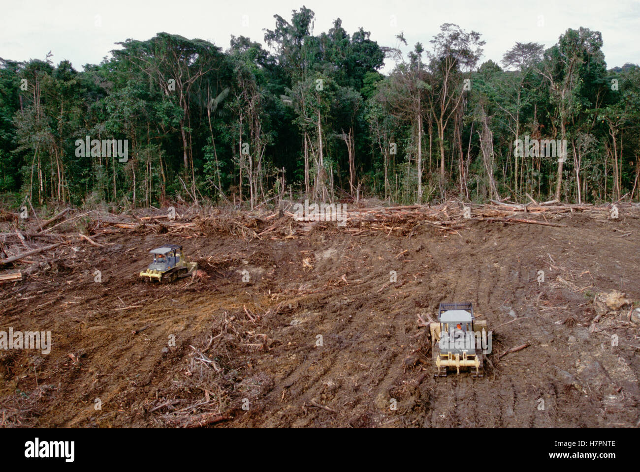Clearing of tropical rainforest south of Lake Kutubu for Gobe oil camp ...