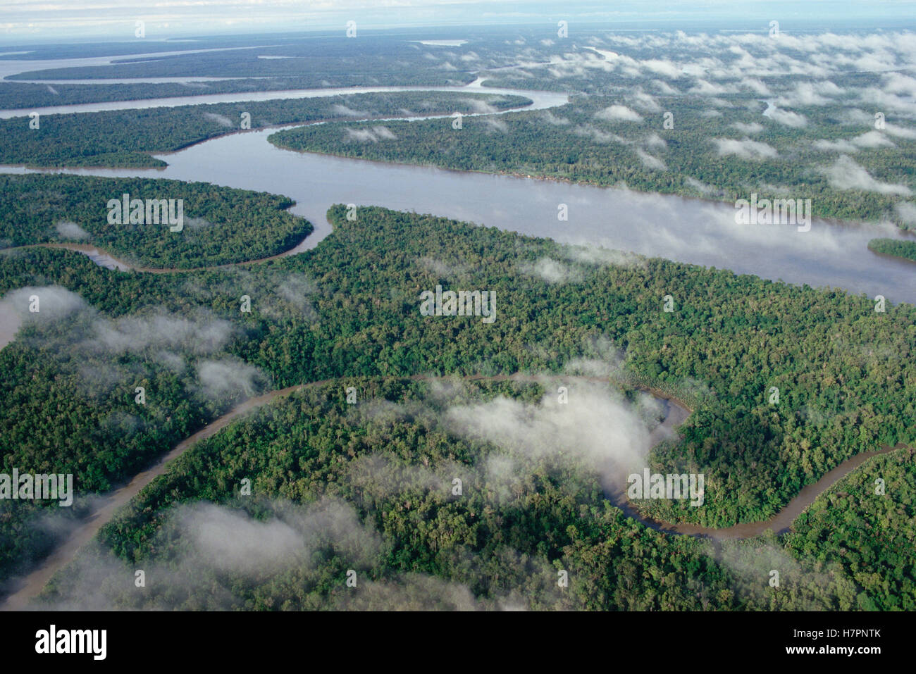 Aerial view of meandering Kikori River and streams through lowland ...