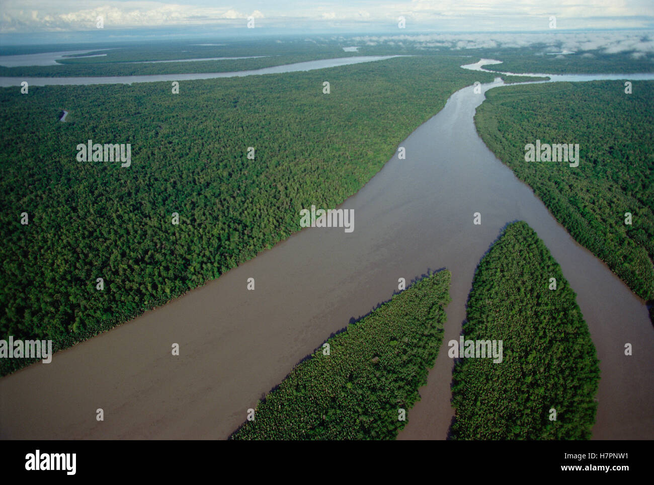 Aerial view of Kikori River and streams running through lowland ...
