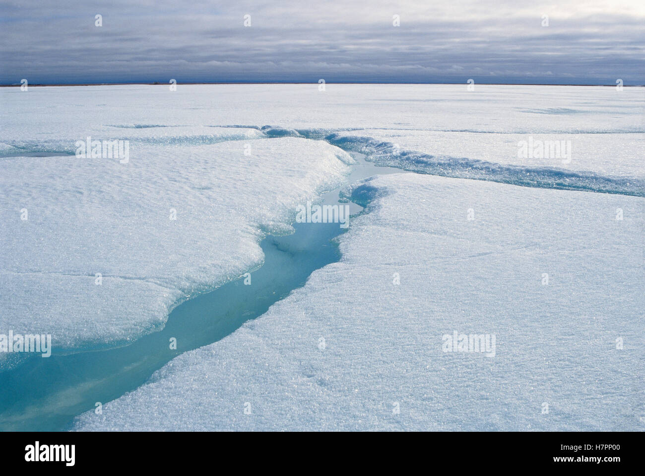 Meltwater channels through ice during spring thaw, Arctic National ...