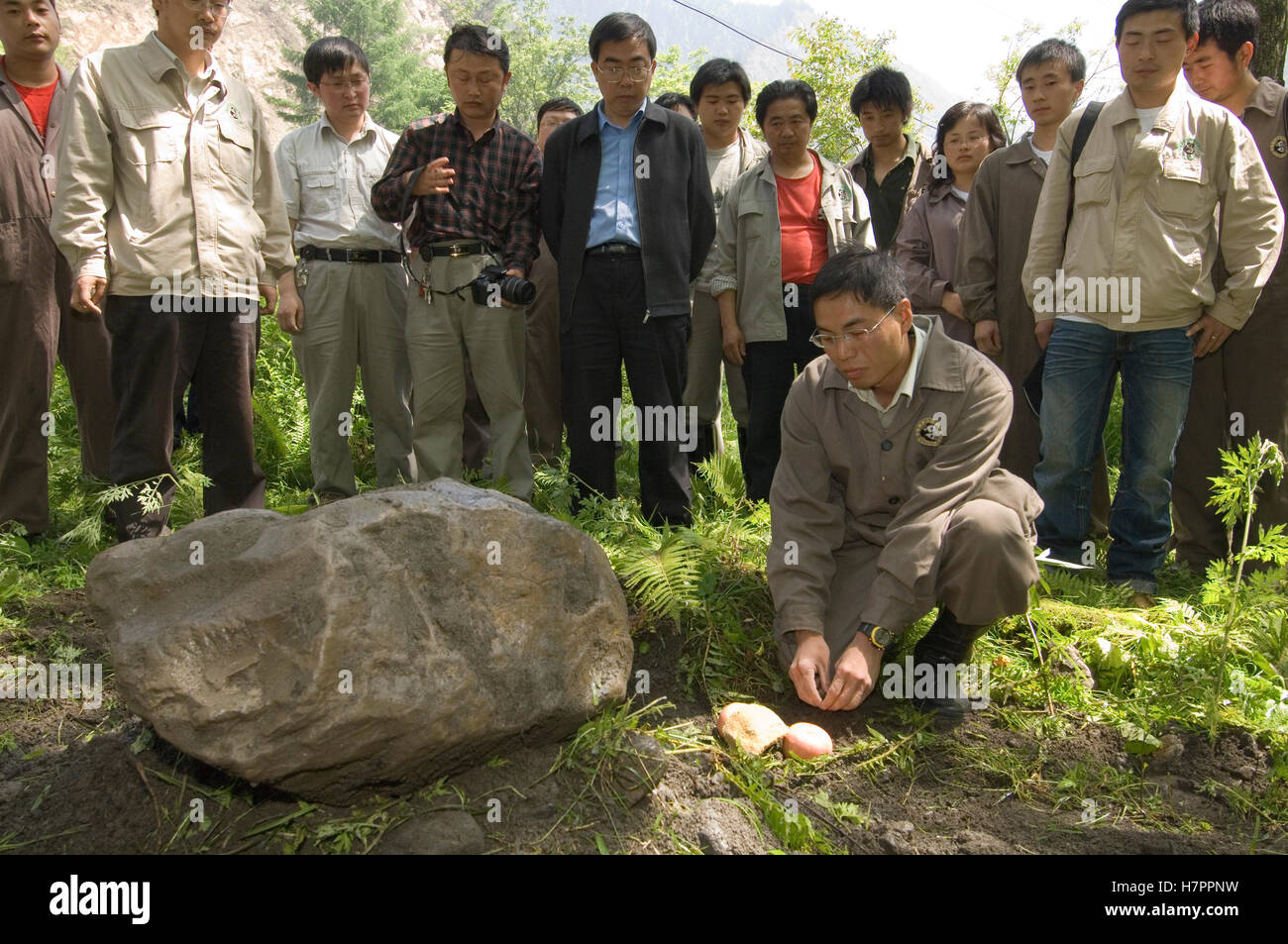 Giant Panda (Ailuropoda melanoleuca) keeper, He Changgui tearfully ...
