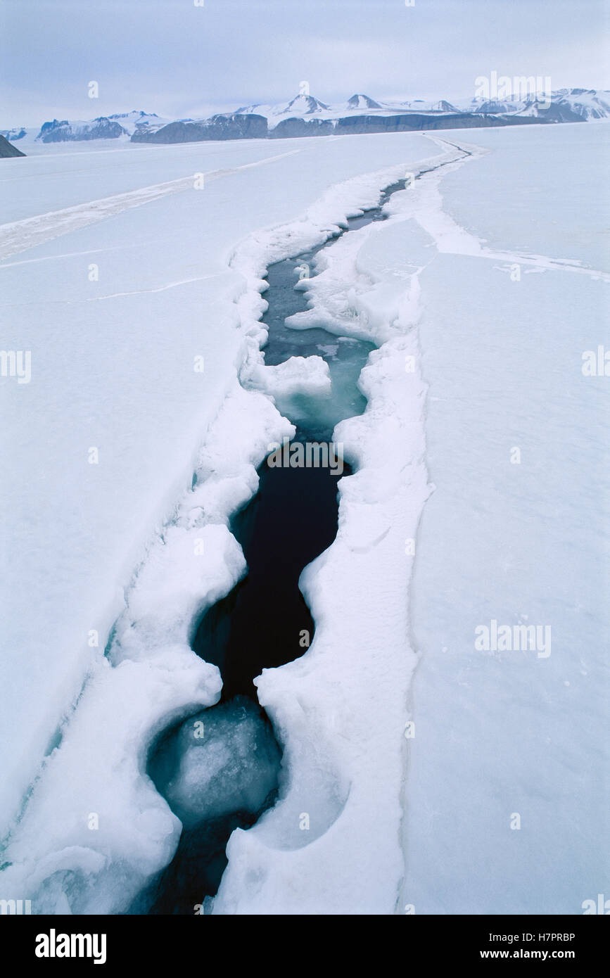 Crack in sea ice, tidal shifts cause sea ice to crack in pressure ...