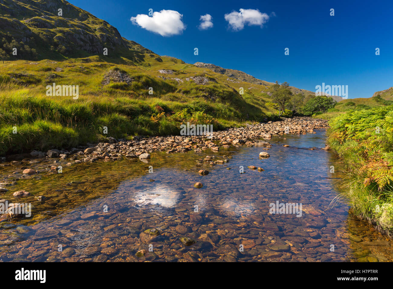 Scotland typical scottish scenery hi-res stock photography and images ...