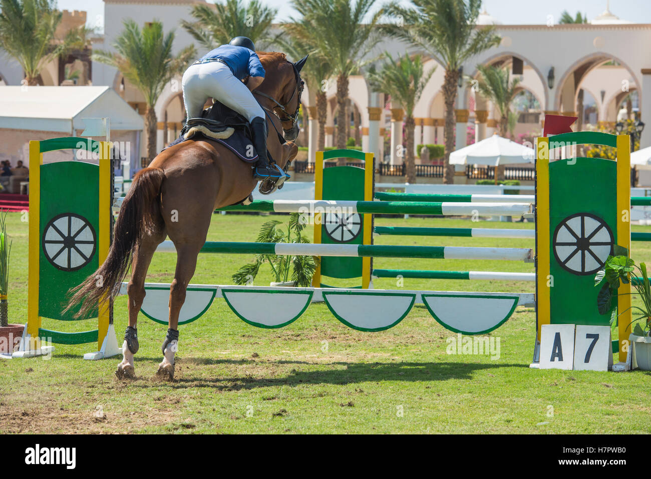 Horse and rider competing in an equestrian showjumping sports ...