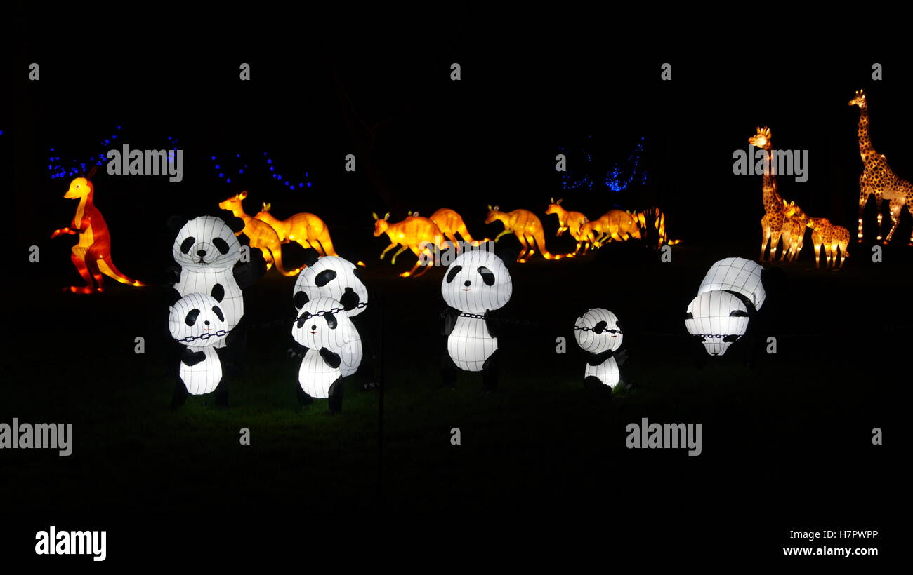 Magical Lantern Festival Stock Photo - Alamy