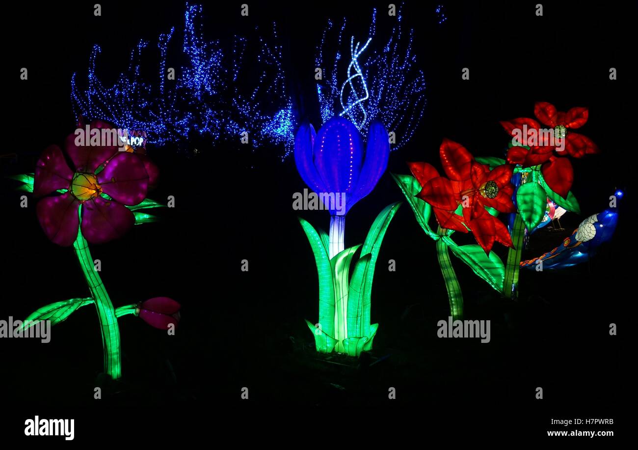 Magical Lantern Festival Stock Photo - Alamy