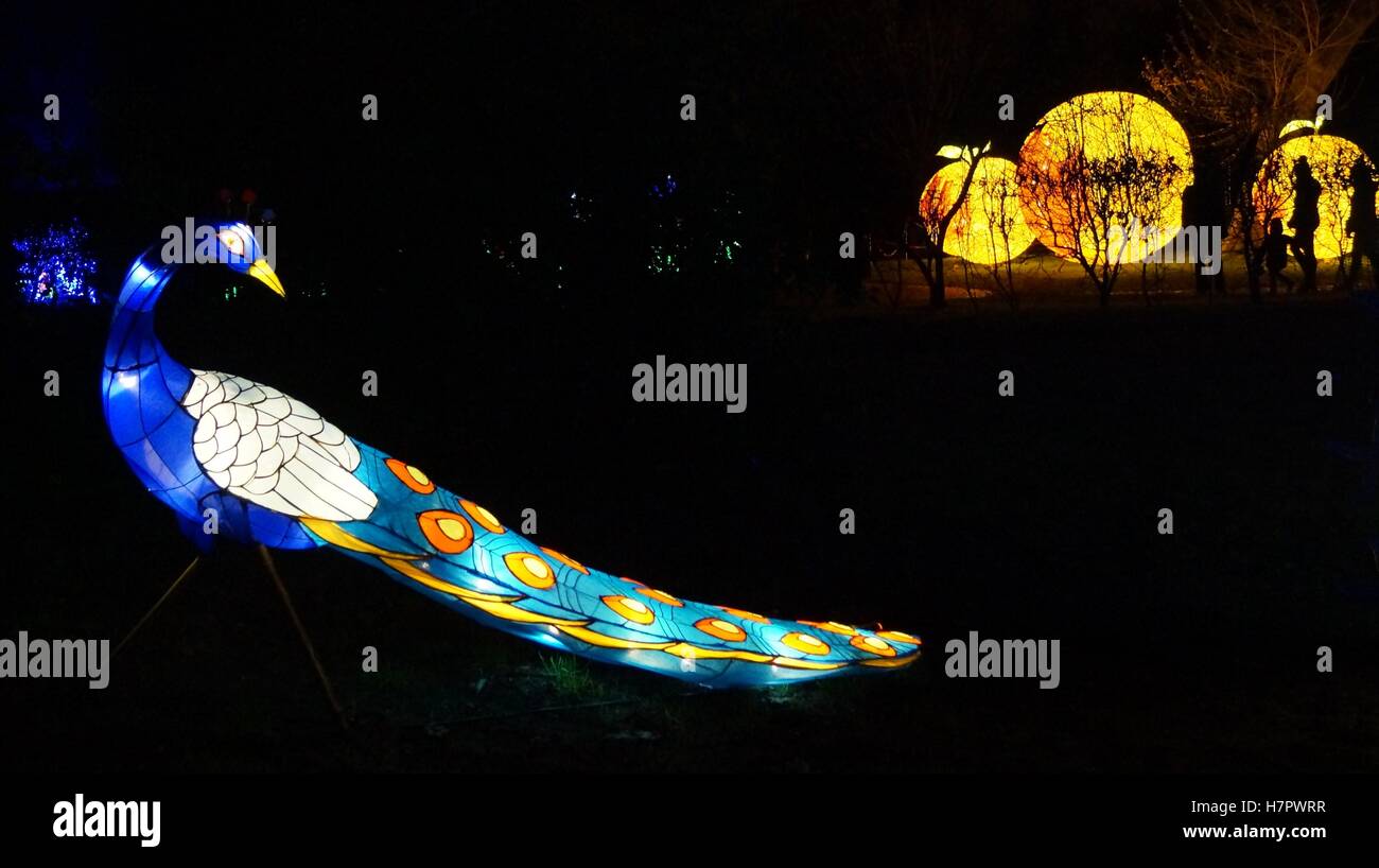 Magical Lantern Festival Stock Photo - Alamy