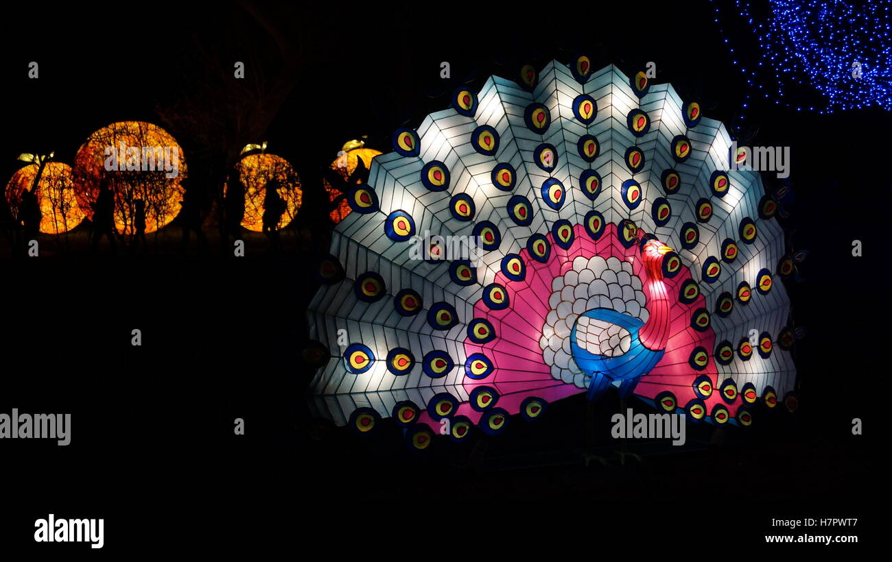 Magical Lantern Festival Stock Photo - Alamy