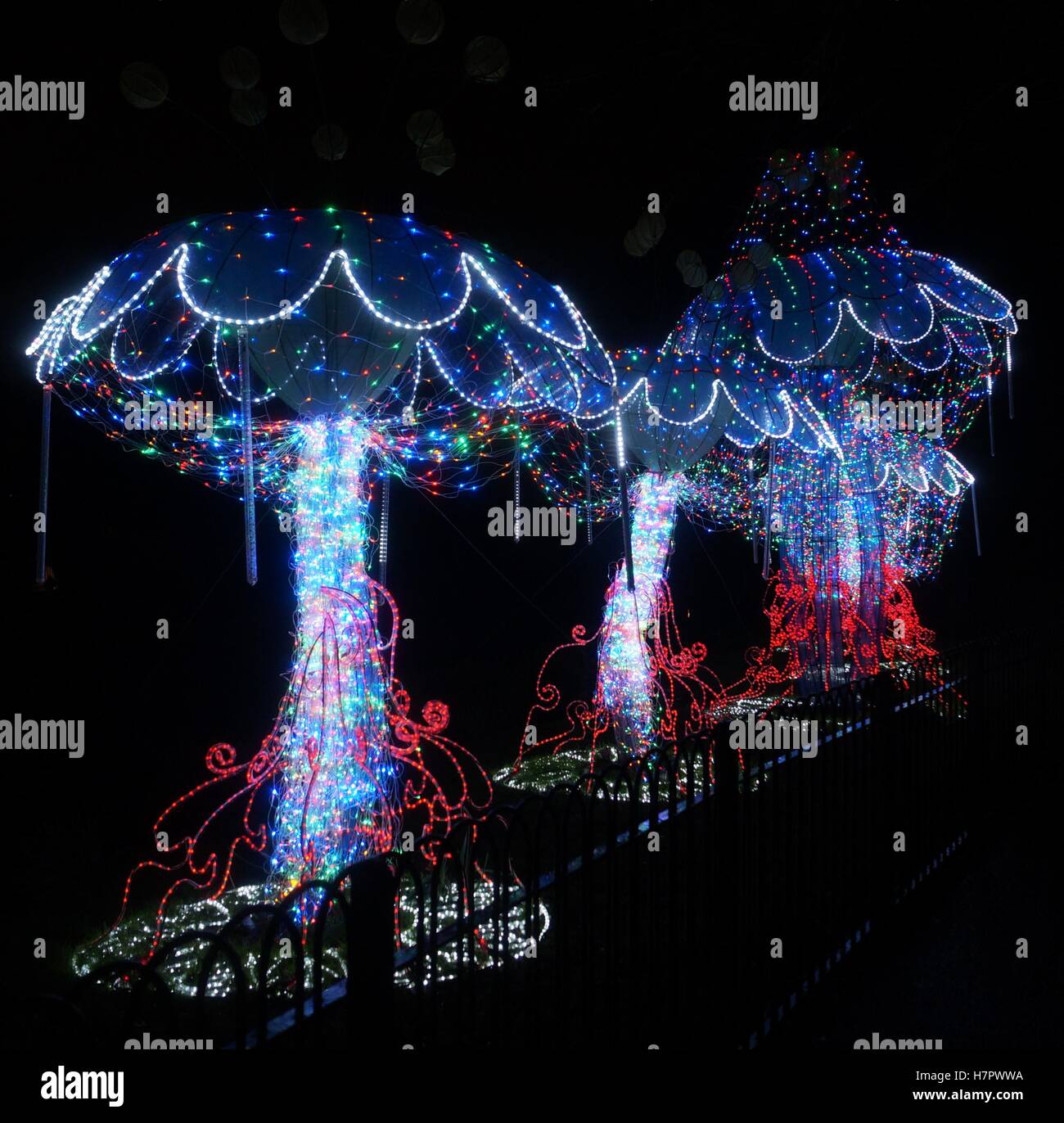 Magical Lantern Festival Stock Photo - Alamy