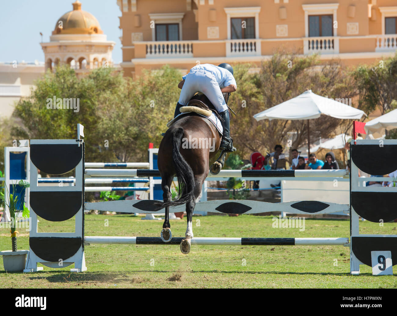 Horse and rider competing in an equestrian showjumping sports ...