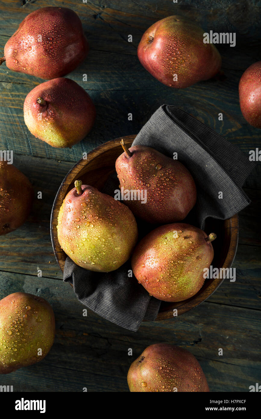Red anjou pear hi-res stock photography and images - Alamy