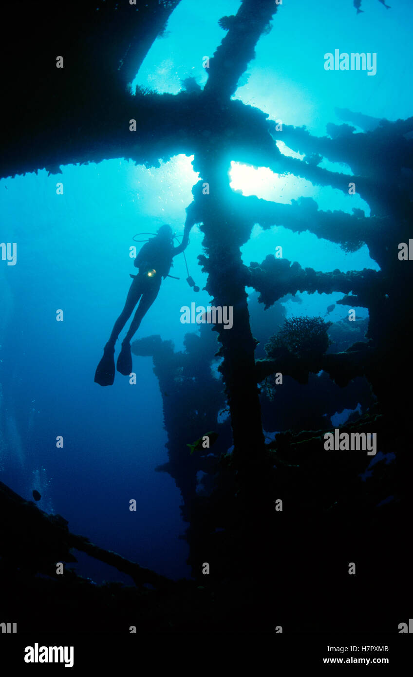 Diver exploring the Liberty shipwreck, Bali's most popular dive site ...