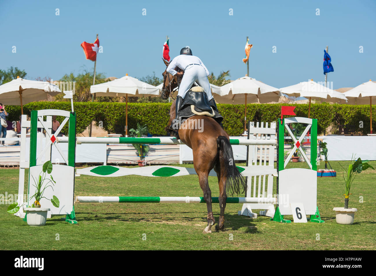 Horse and rider competing in an equestrian showjumping sports ...