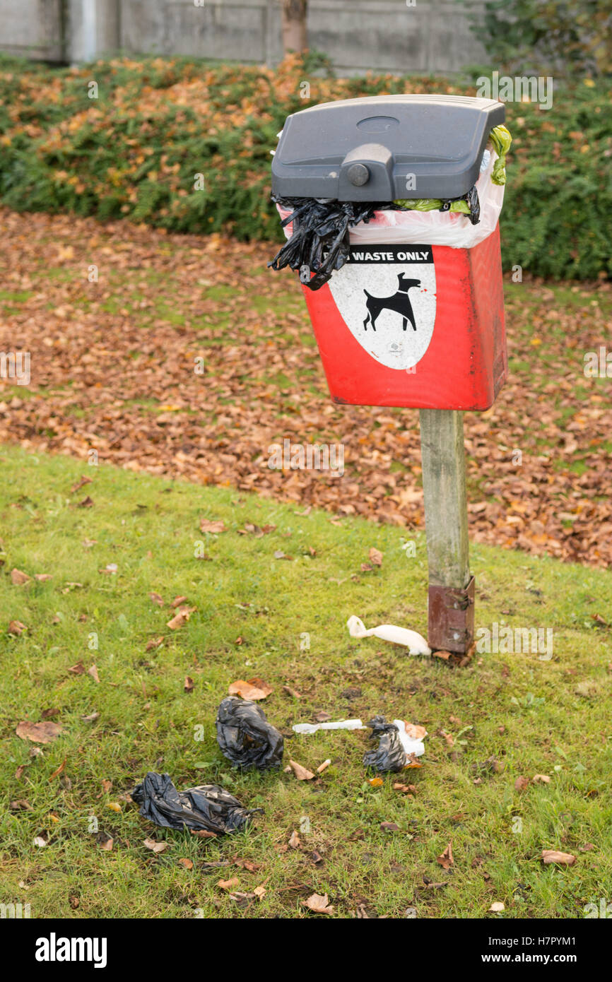 Dog waste bin overflowing with dog poo waste poop bags Stock Photo - Alamy