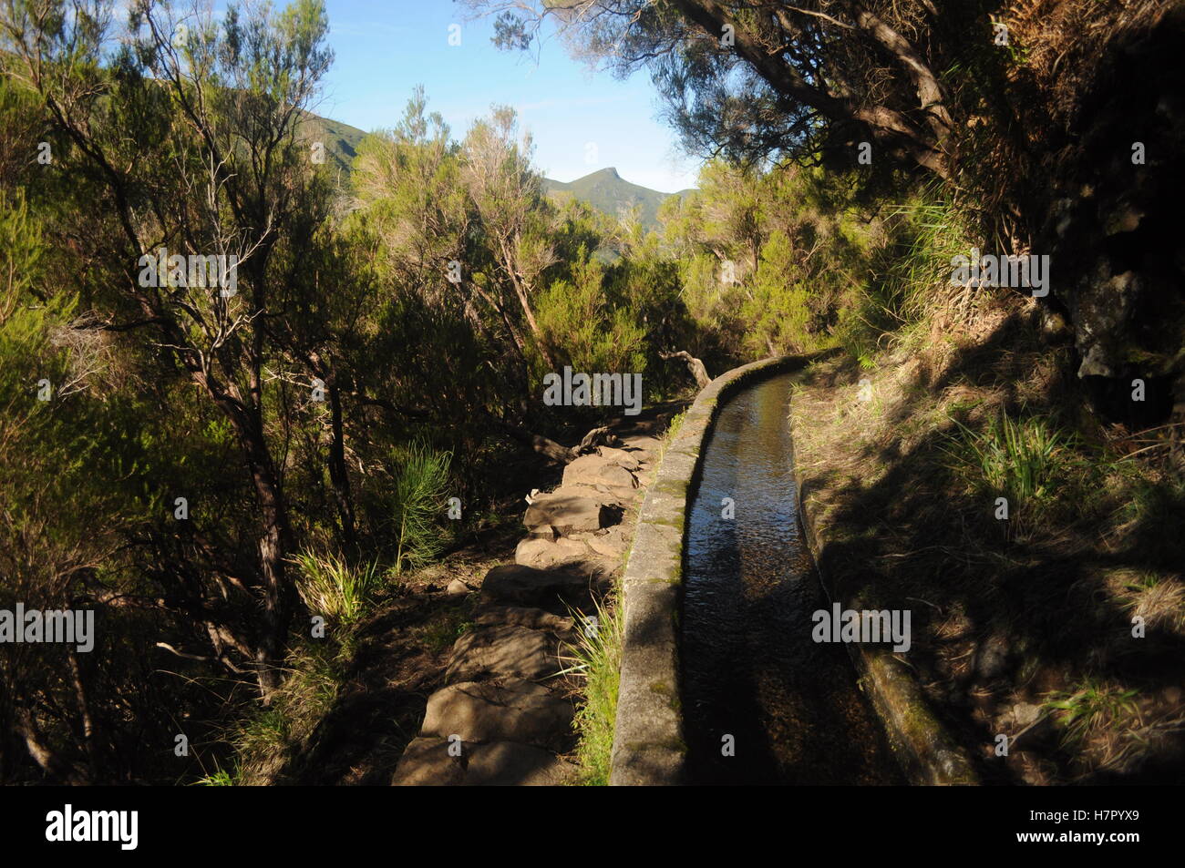 Levada irrigation canal madeira hi-res stock photography and images - Alamy