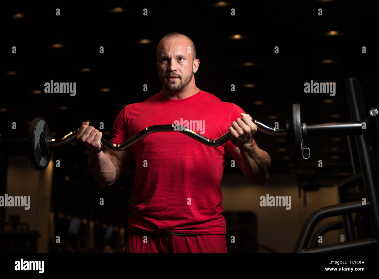 Big Man Standing Strong In The Gym And Exercising Biceps With Barbell ...