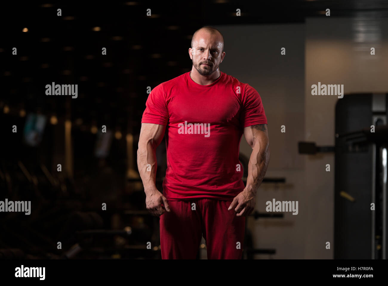 Bodybuilder Posing In Different Poses Demonstrating Their Muscles ...