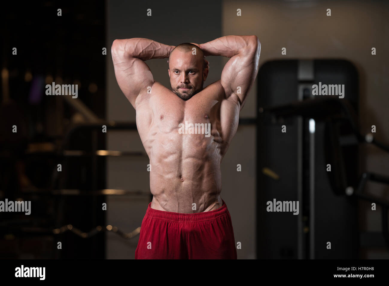 Man Standing Strong In The Gym And Flexing Muscles - Muscular Athletic ...
