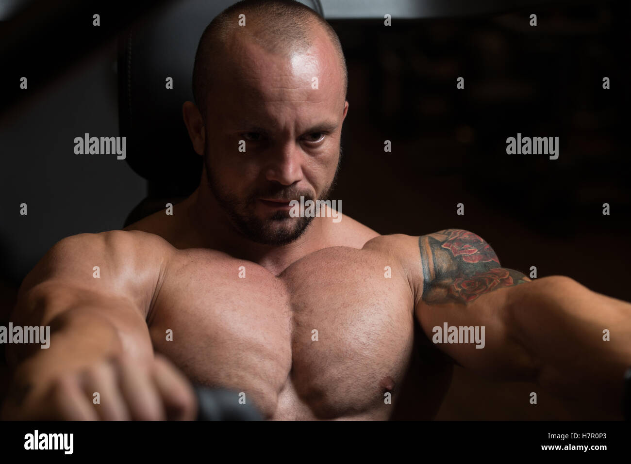 Big Man In The Gym Is Exercising Back On Machine - Muscular Athletic ...