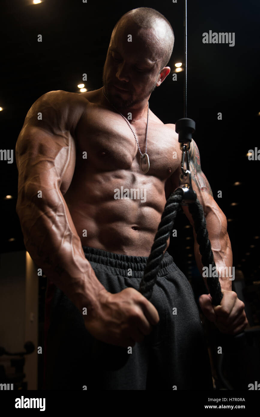 Muscular Fitness Bodybuilder Doing Heavy Weight Exercise For Triceps On ...