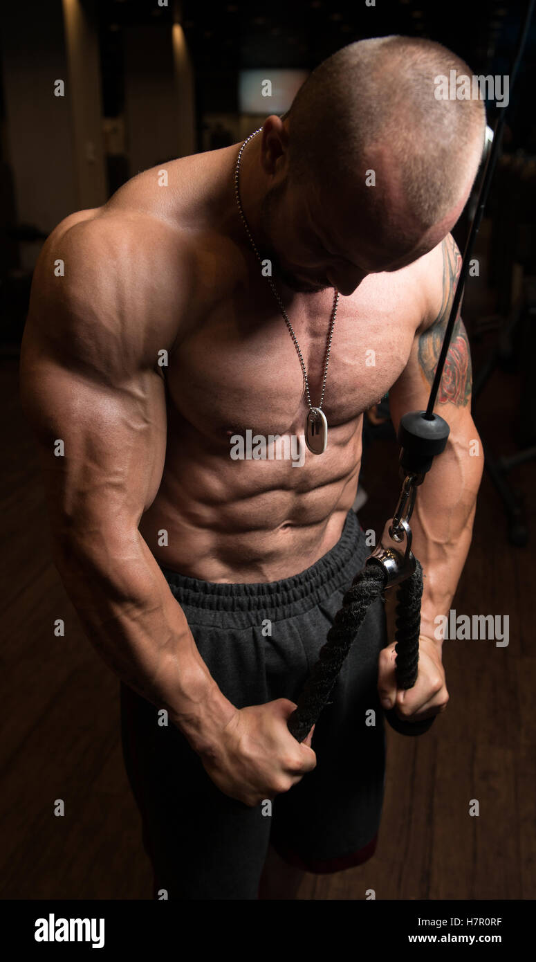 Muscular Fitness Bodybuilder Doing Heavy Weight Exercise For Triceps On ...