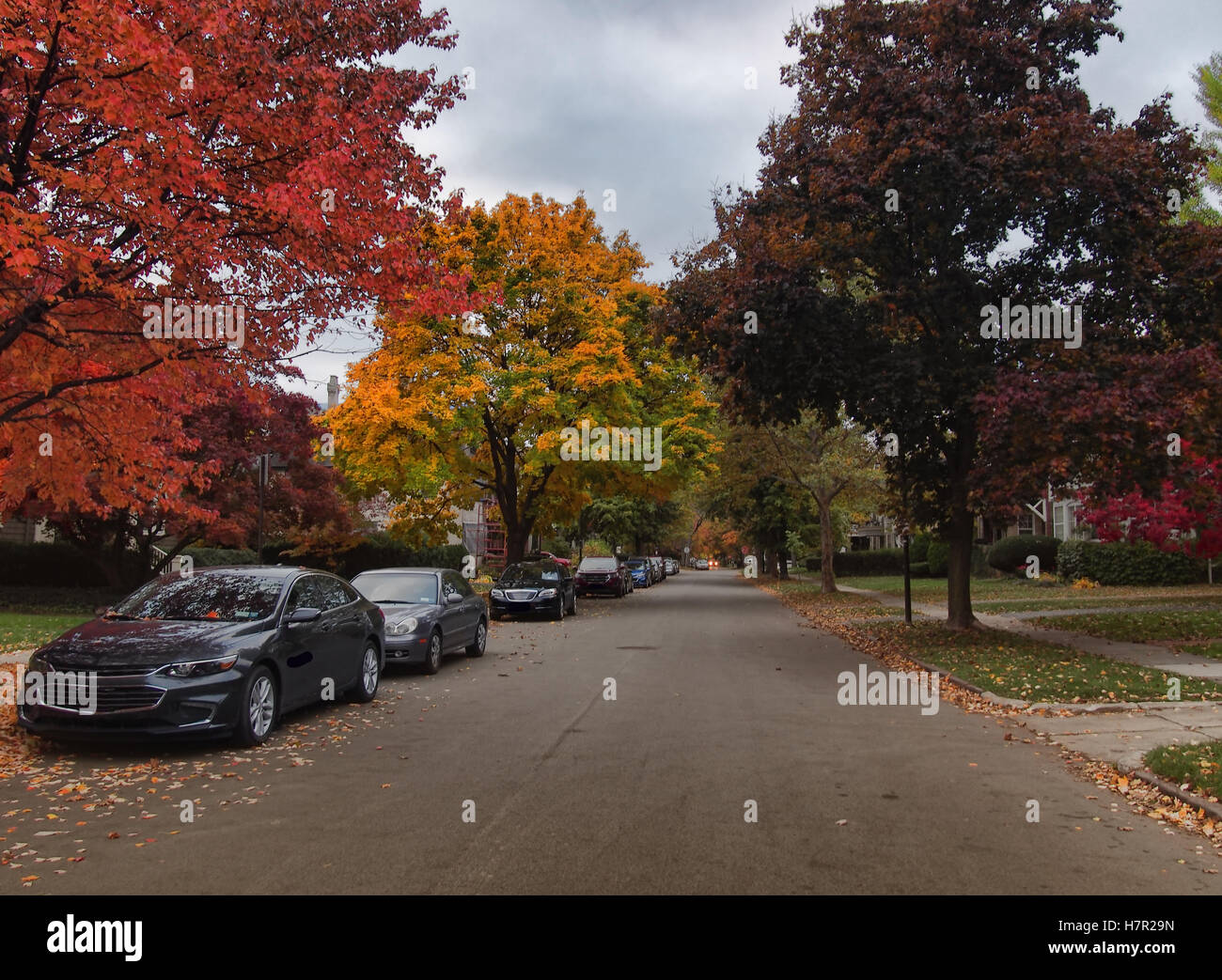 cars parked on one side of the road for odd even parking ordinance ...