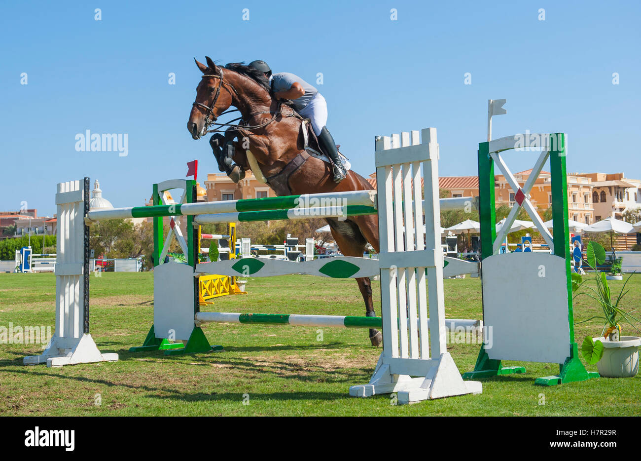 Horse and rider competing in an equestrian showjumping sports ...