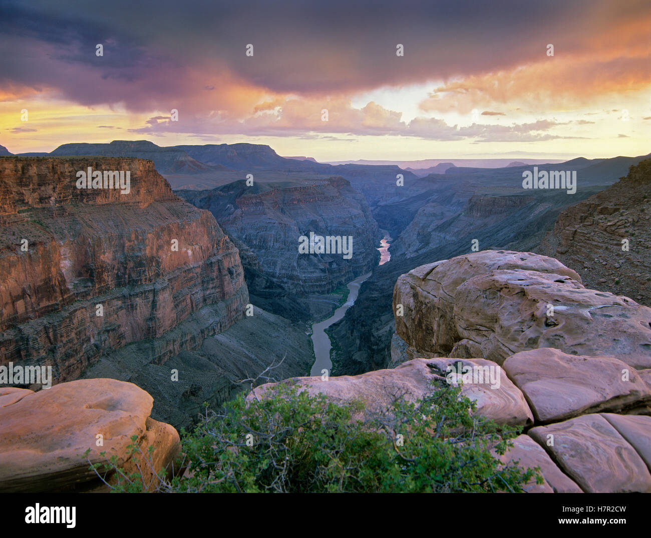 Toroweap Overlook with a view of the Colorado River, Grand Canyon ...