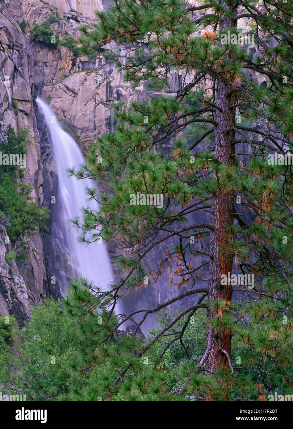 The Cascades from road, Yosemite National Park, California Stock Photo ...