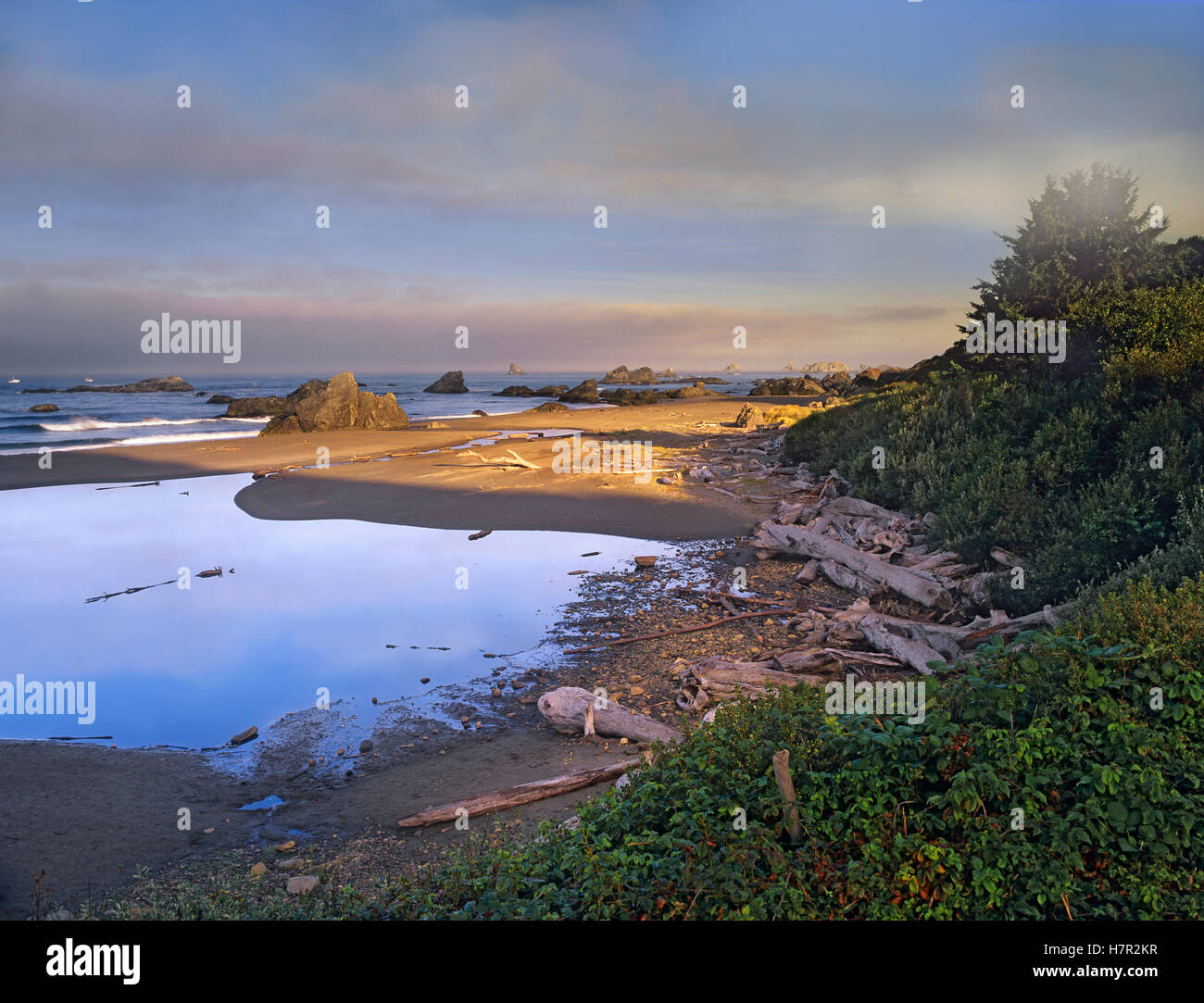 Lagoon and coastline, Harris Beach State Park, Oregon Stock Photo - Alamy