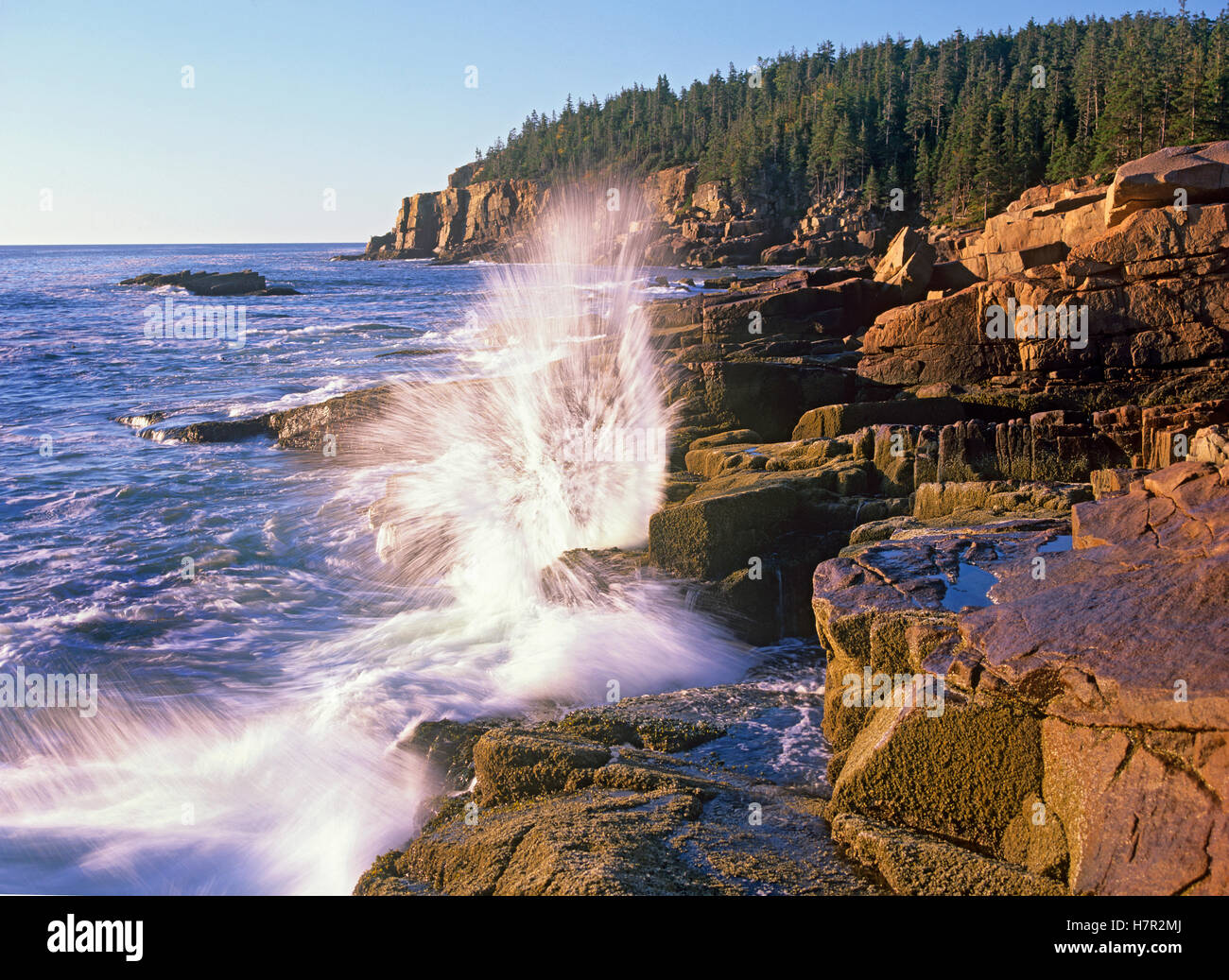 Atlantic coast near Thunder Hole, Acadia National Park, Maine Stock ...