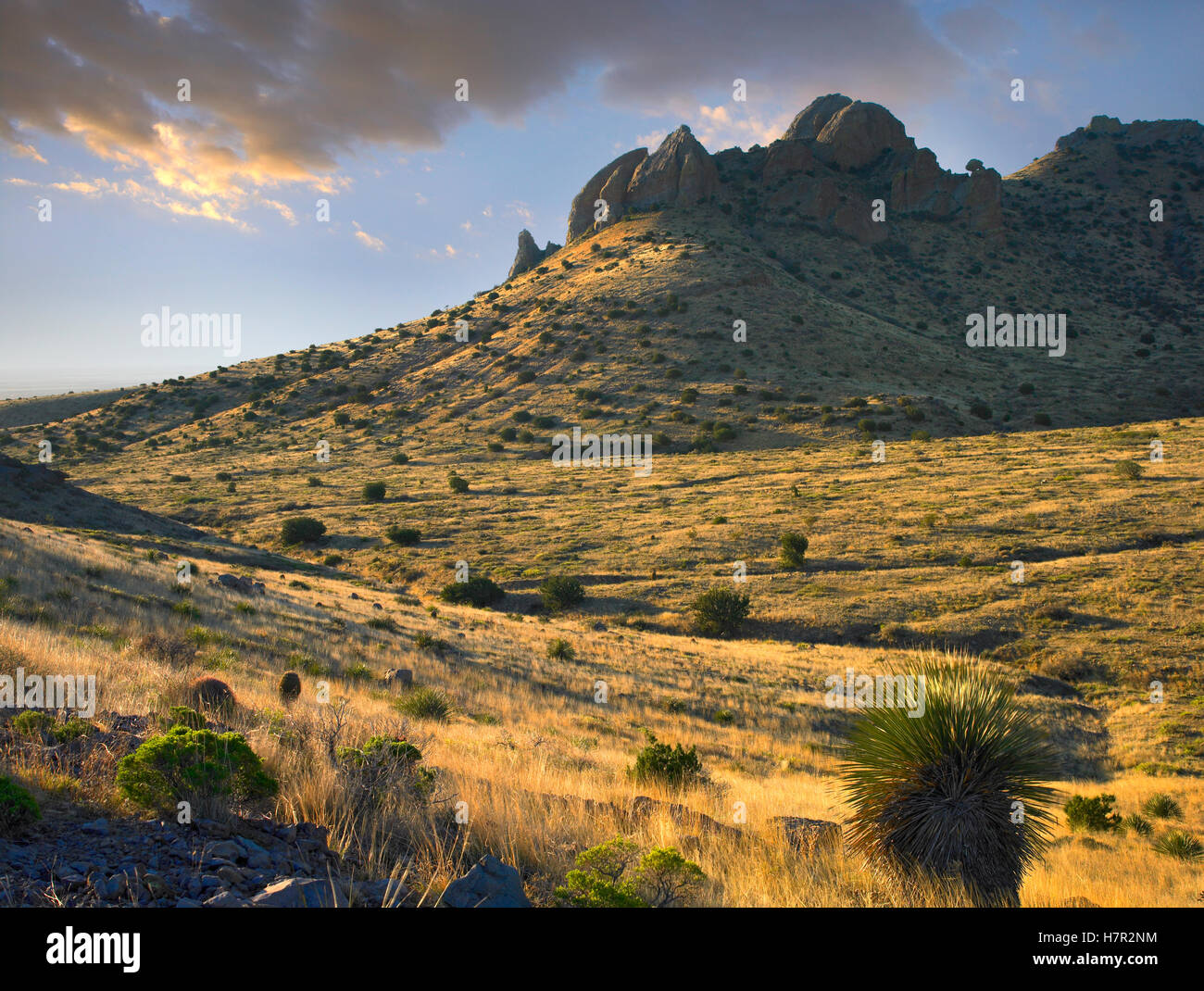Florida Mountains, Rockhound State Park, New Mexico Stock Photo - Alamy