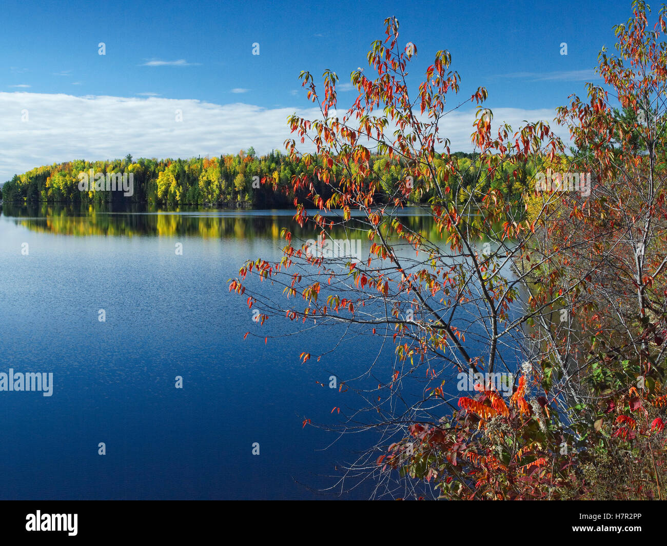 Tobique River, New Brunswick, Canada Stock Photo - Alamy