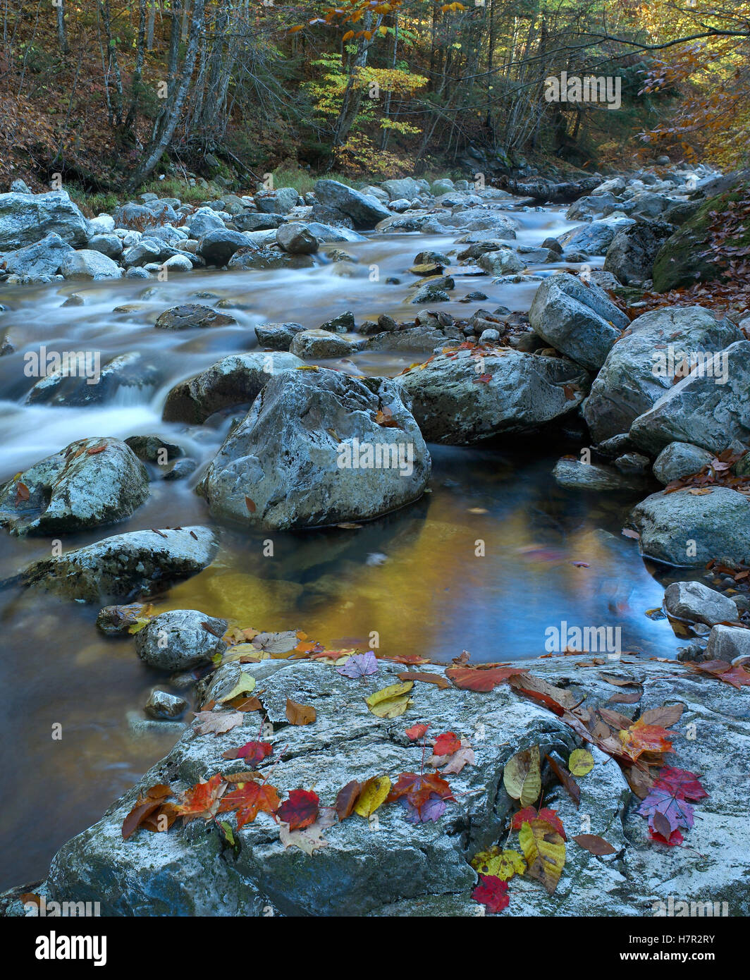 Roaring Brook, Green Mountain National Forest, Vermont Stock Photo - Alamy