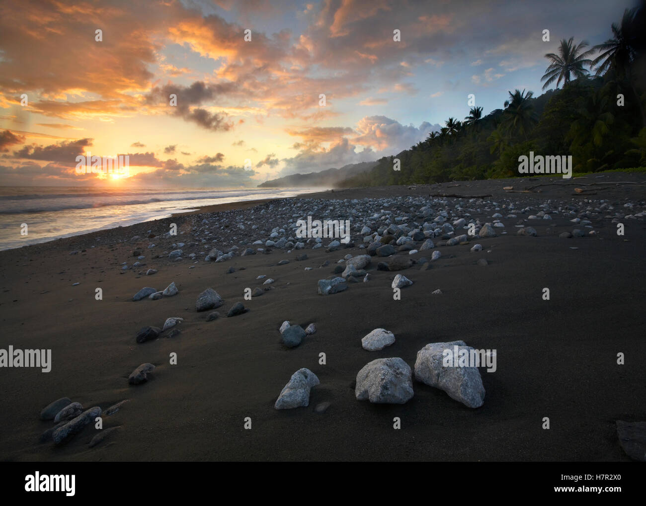 Rocks on beach, Corcovado National Park, Costa Rica Stock Photo - Alamy