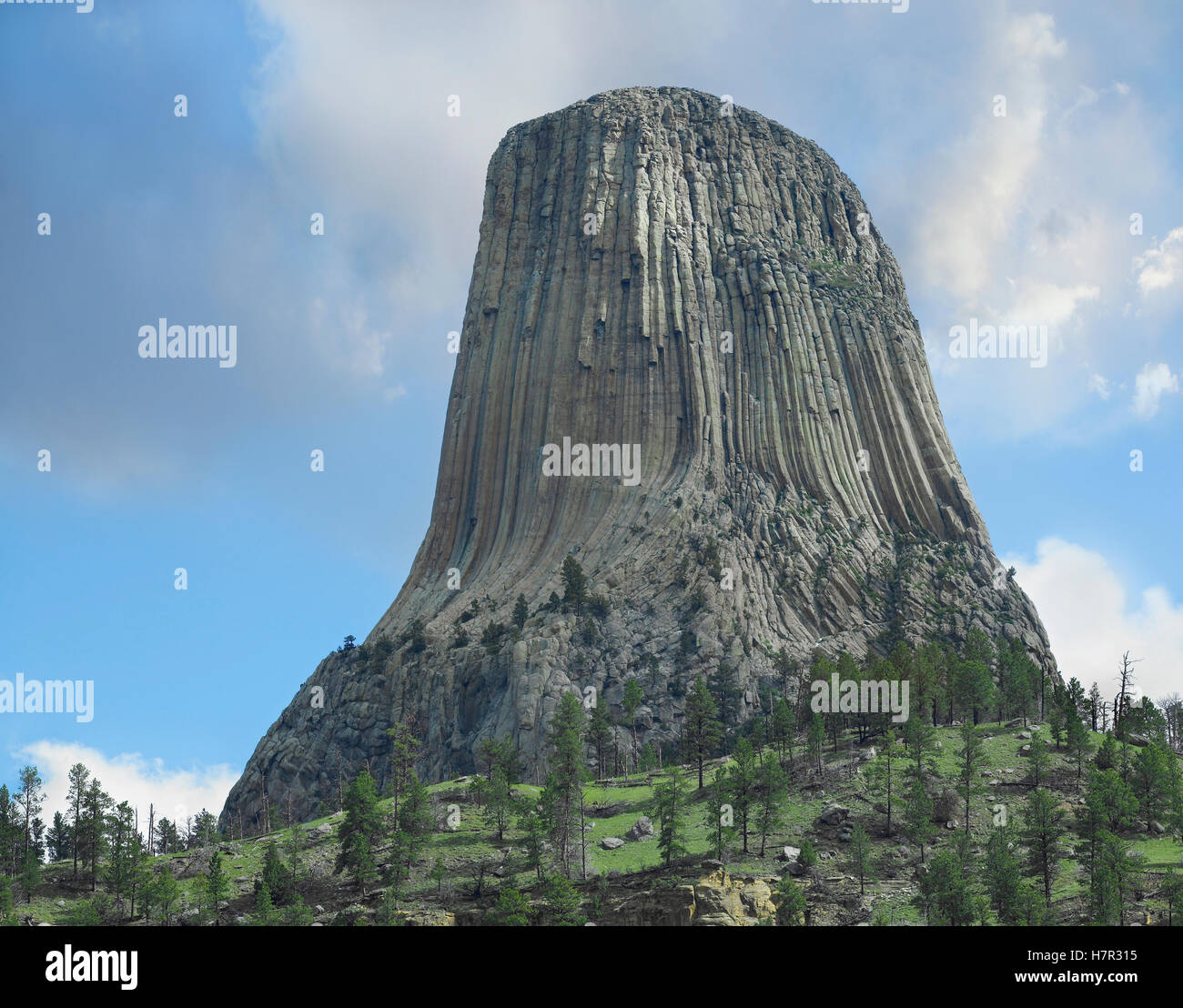 Devil's Tower National Monument showing famous basalt tower, sacred ...